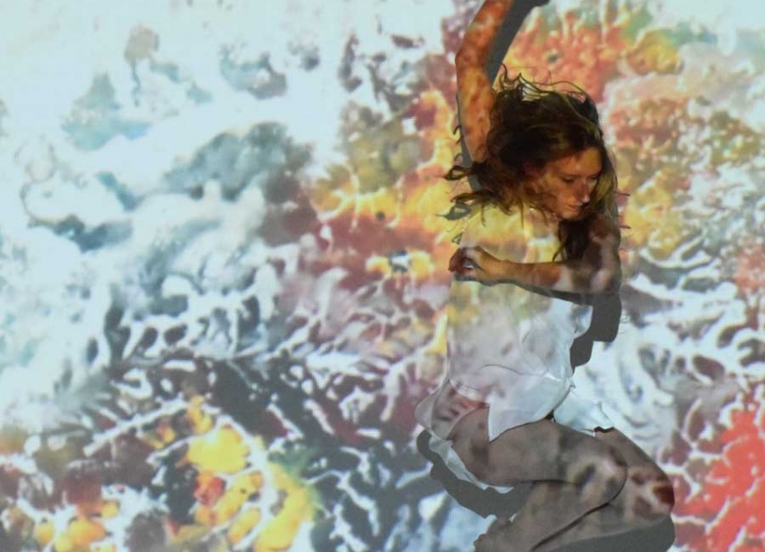 Home – SALT Contemporary Dance